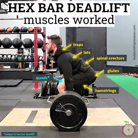 How To Hex Bar Deadlift To Reduce Pain While Building Your Back And Legs
