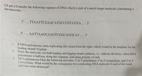 Solved Pts Consider The Following Segment Of DNA Which Chegg