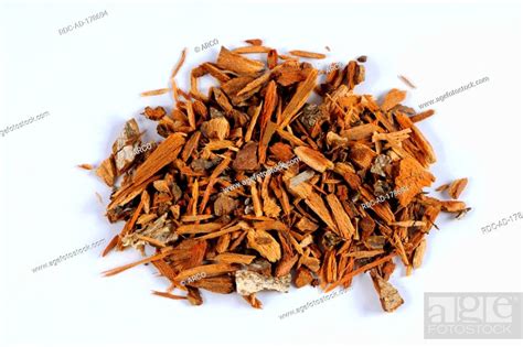Cinchona Bark Dried Bark Of Cinchona Pubescens Cortex Chinae Cut Out