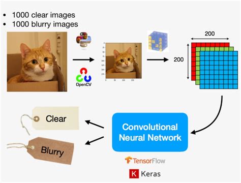 This Is A Classification Problem And The Output Result Domestic Short