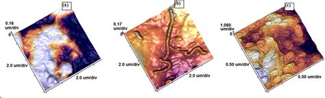 Enhanced Photoelectrochemical Hydrogen Production With Swift Heavy Ion
