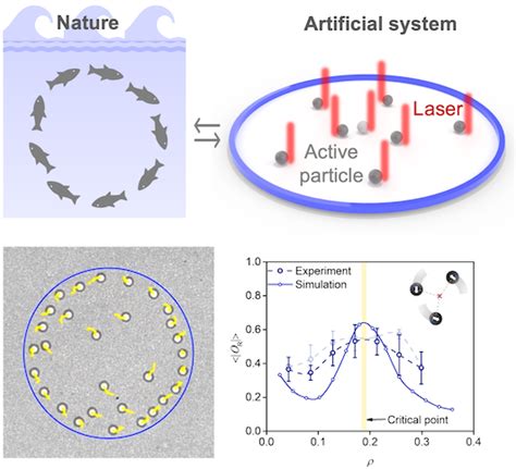 Synchronous And Fully Steerable Active Particle Systems For Enhanced Mimicking Of Collective