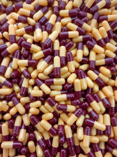 Empty HPMC Capsule Size At Rs In Vadodara ID