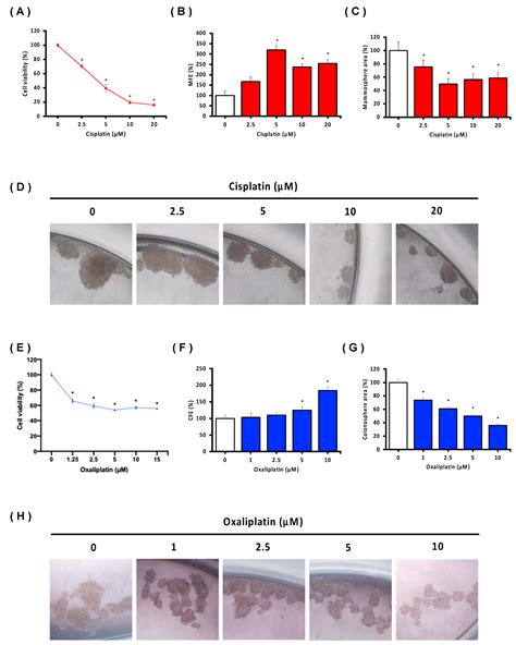 Tumorspheres As In Vitro Model For Identifying Predictive Chemoresistance And Tumor