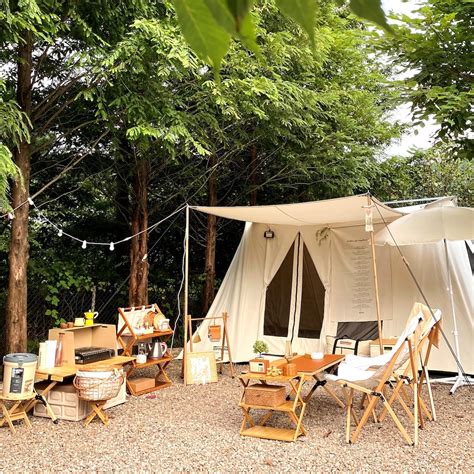 댕댕이랑 함께 가요🐶 행복 두 배 숲속 감성 캠핑 라이프스타일 슈퍼앱 오늘의집