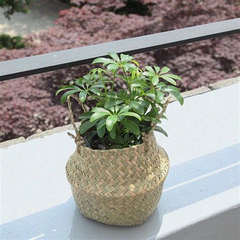 홍콩야자 미니 라탄바구니세트 감도 깊은 취향 셀렉트샵 29cm