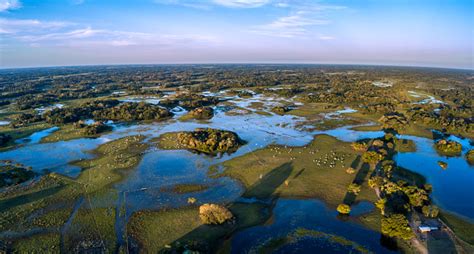 코룸바에서 촬영 Pantanal 마투그로수 두 술 할 Pantanal Biome 브라질입니다 공중 뷰에 대한 스톡 사진 및 기타
