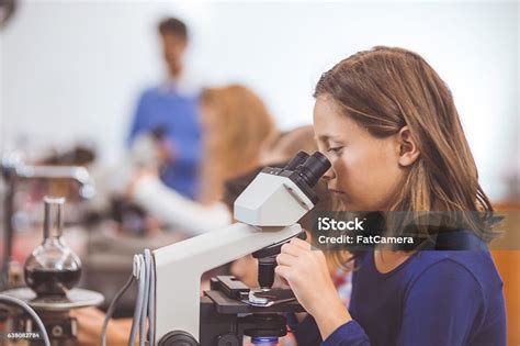 현미경으로 교실에서 Stem 활동을하는 어린 소녀 Stem 주제에 대한 스톡 사진 및 기타 이미지 Stem 주제 검사 보기