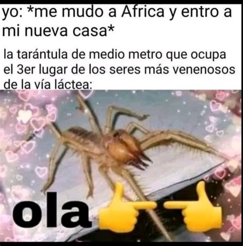 Pasa Meme Subido Por Zun Da Da Memedroid