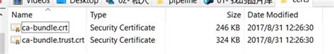 关于使用 Git 命令行时遇到的错误消息 Unable To Get Local Issuer Certificate 知乎