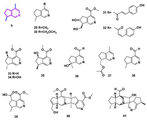 Structures Of Pyridine Alkaloids Derived From Iridoids Type Ii