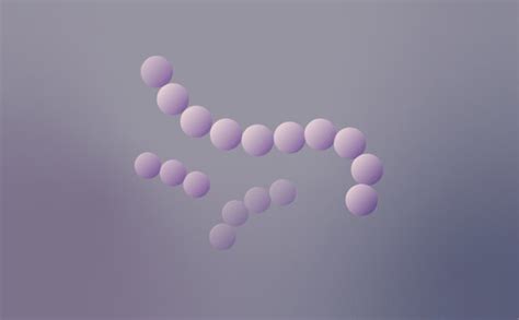 รูปภาพstreptococcus เลือกดูภาพถ่ายสต็อก เวกเตอร์ และวิดีโอ11 940 Adobe Stock