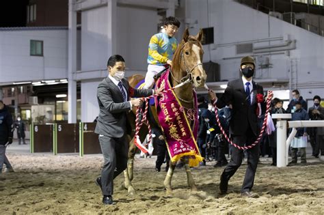 デルマソトガケが2歳ダート王に・全日本2歳優駿 Moment日刊ゲンダイ