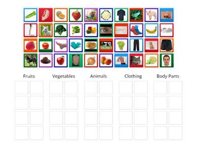 Sort Objects Into Categories Teaching Resources