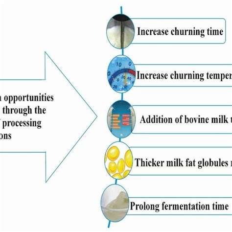 Butter Production Opportunities From Camel Milk Through The