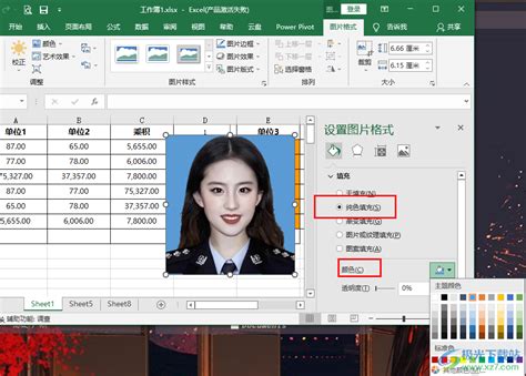 Excel怎么更换照片的背景色 Excel更换照片的背景色的方法 极光下载站