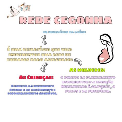 Rede cegonha Material de enfermagem Métodos de estudo Enfermagem