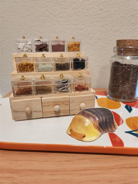 I Have A Little Candy Shop For The Pods Risopods