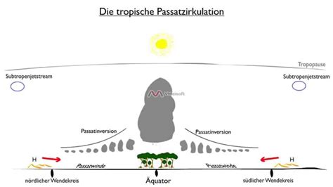 Erdkundeanimationen Für Lehrer Die Tropische Passatzirkulation Mit