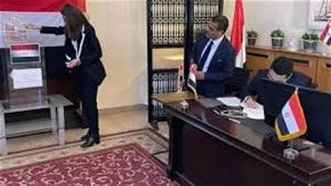 رئيس حزب الجيل بعد انتهاء تصويت المصريين بالخارج لم تسجل خروجا عن