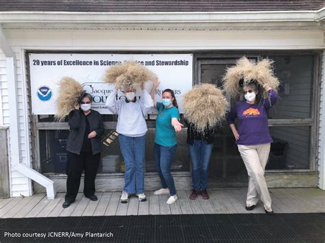 Eel Monitoring Slips Over Nj Border Nerra