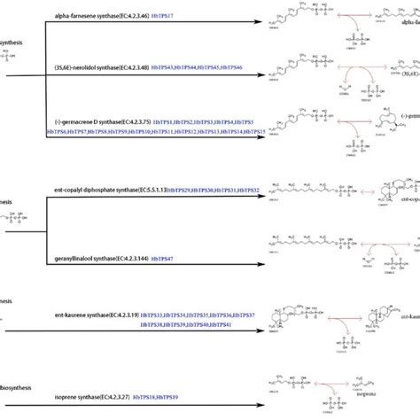 The Reaction Map Of The Seven Secondary Metabolite Pathways Predicted