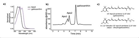 Figure 2 From Complementary Shifts In Photoreceptor Spectral Tuning