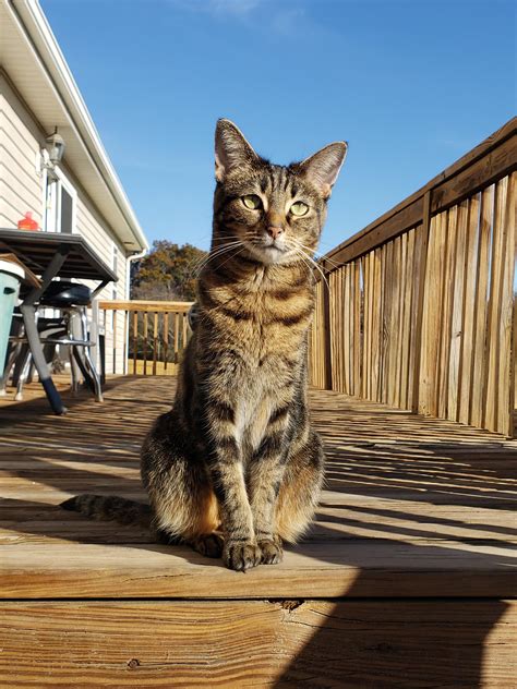 Robert F Kennedy Human Rights Ripple Of Hope Awards Gala In New York R Meghanmarkle