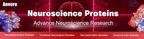 Cd3 Proteins Empower Breakthroughs In Tce Development