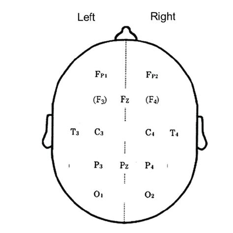 14 Locations To Measure Eeg Conforming To The International 10 20