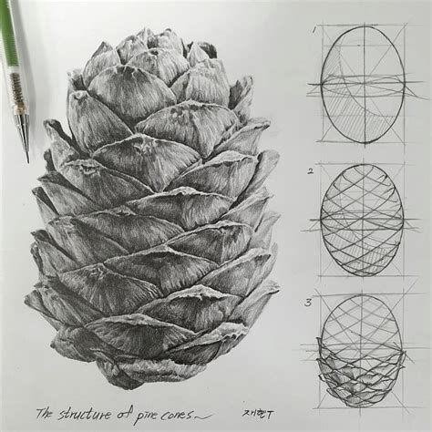 结构素描