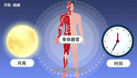 月字旁的字和什么有关 月字旁的字都和什么有关 天奇生活