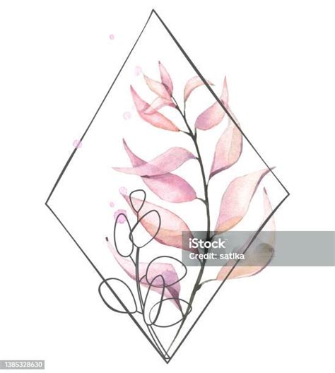 수채화는 라인 아트 스타일의 분홍색 잎 유칼립투스 및 마름모 프레임으로 칠해졌습니다 흰색 배경에 꽃 배열 검은색에 대한 스톡
