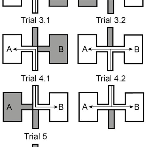 Experimental Paradigm The Experimental Paradigm Consisted Of Multiple