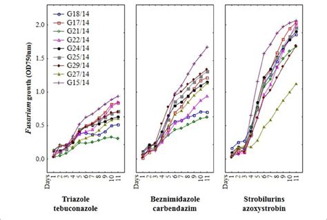 The Effect Of Three Fungicides On The Selected Fusarium Isolates