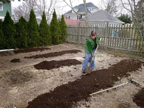 Дълбоката обработка на почвата е задължителна Български Фермер