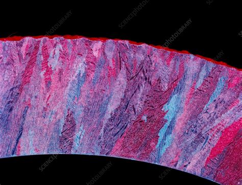 Etched Columnar Grain Structure Stock Image C0162059 Science