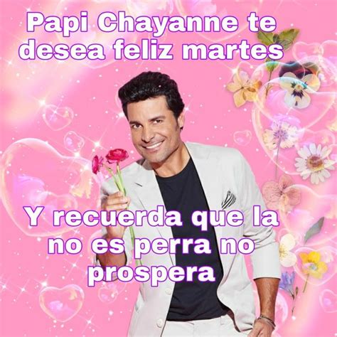 Papi Chayanne Imagenes Chistosas Para Reir Chayanne Feliz