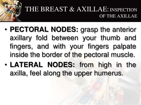 Breast Assessment