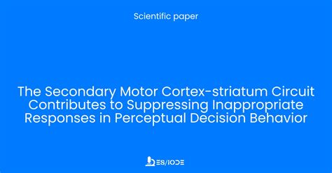 Scientific Research The Secondary Motor Cortex Striatum Circuit Contributes To Suppressing