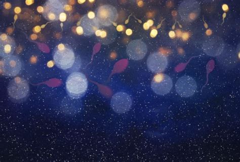 About Vasectomy What How Why Risks And Myths In Words And Figures