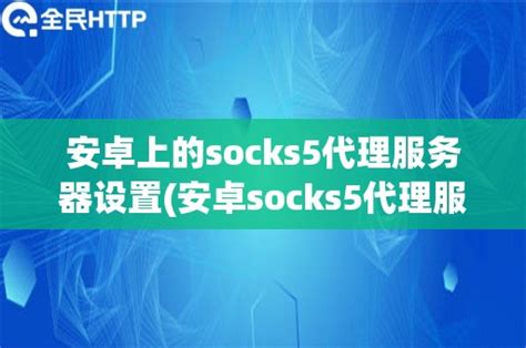 Socks Socks