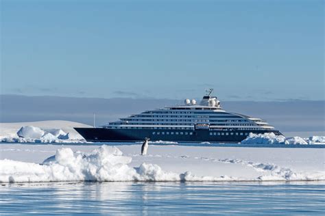 Scenic Eclipse Antarctica Cruise Small Ship Luxury Antarctica Cruise Walk Into Luxury