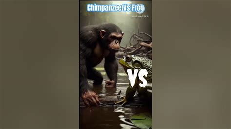 पहली बार चिंपैंजी और मेढक के Dna मिलाकर बनाया खतरनाक Monster। Hybrid Bunnykfect10m Youtube