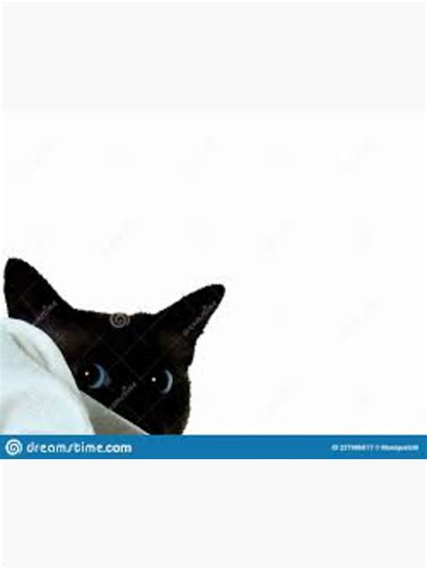 Suspicious Cat Sticker By Watwau Redbubble