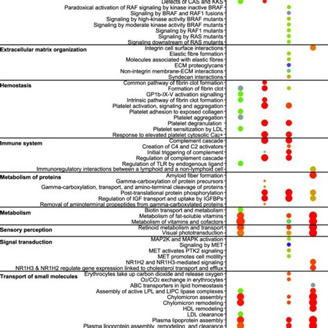 Dot Plot Pathway Enrichment Map Showing Significantly Overrepresented