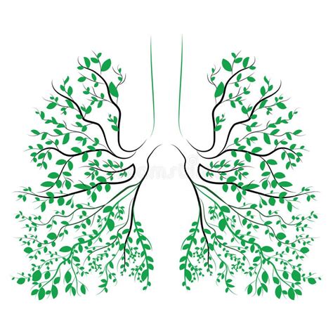 Pulmones Humanos Sistema Respiratorio Pulmones Sanos Luz Bajo La Forma