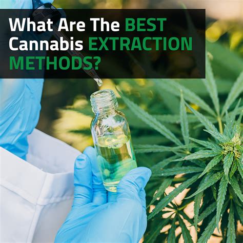 What Are The Best Cannabis Extraction Methods Vaperite