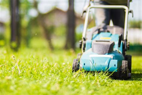 How To Get Rid Of Nut Grass Effective Methods For A Clean Lawn
