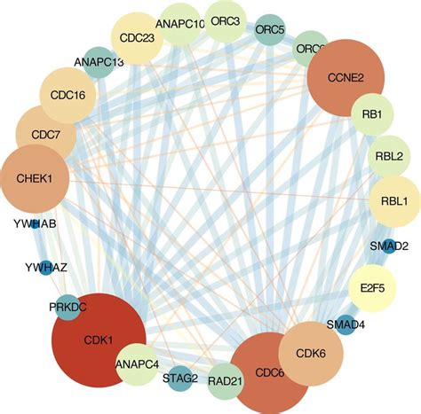 Functional Analysis Of Differential Genes A Molecular Function